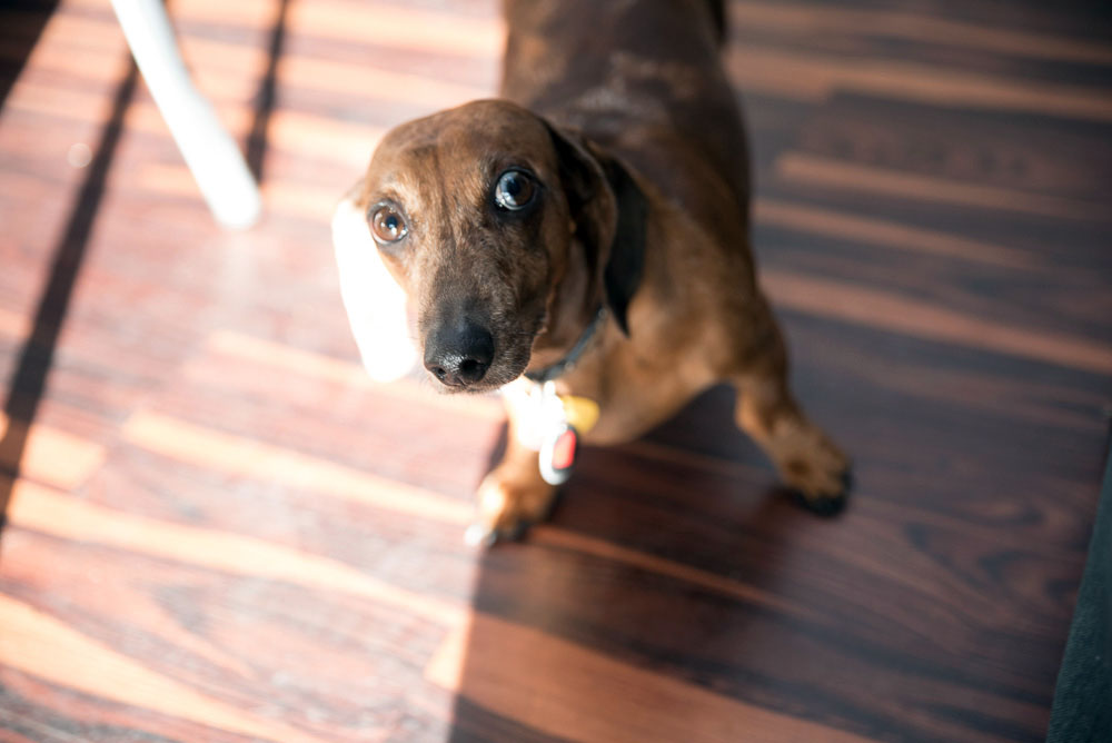 Lake Tahoe craft beer guide for summer travel | Drinkable Reno